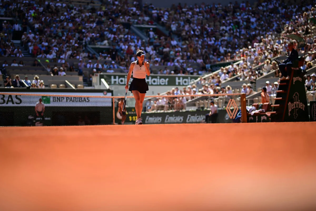 Valentin Royer waits for Djokovic as Svitolina advances at Roland ...