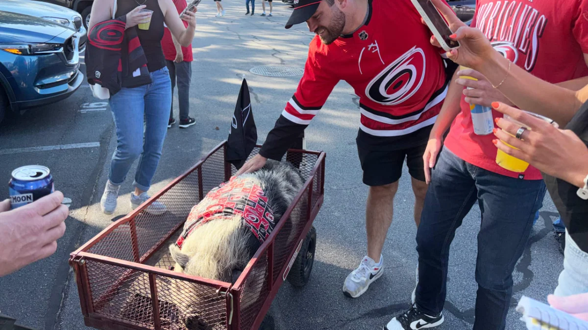 Golden Knights – Hurricanes : Raleigh ouvre la finale sous pression ...